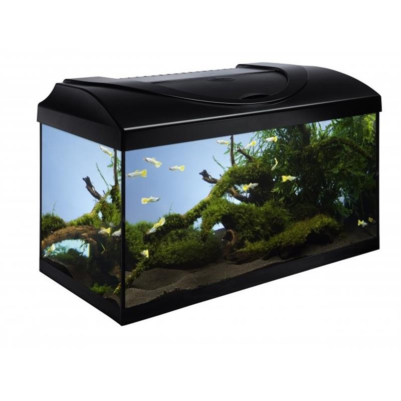 Acvariu Diversa 60