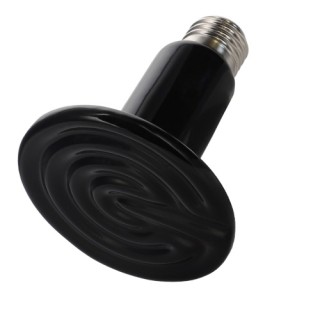 Bec cu infrarosu, Becuri pentru caldura - Nevertebrate