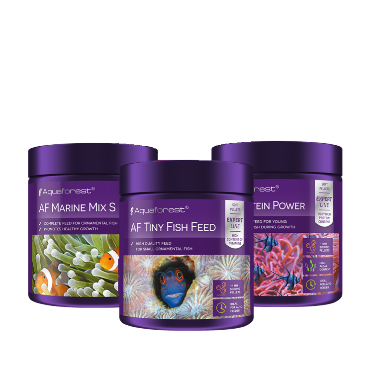 Set hrana AquaForest Fish Food set1 (3x250ml- 3x120g)